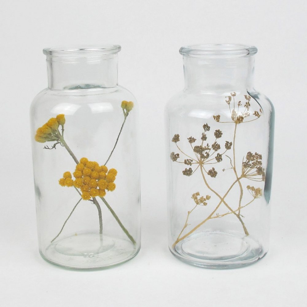 Bell Jar Duo with Dried Flowers